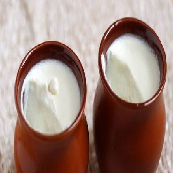 Curd Incubation and Storage Room Price in Bangalore, Karnataka – ₹1,00 ...