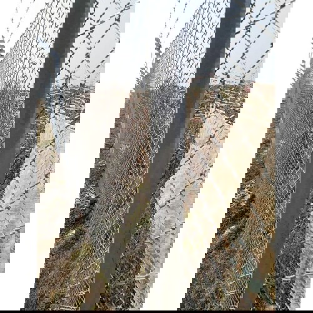 Galvanized GI Chain Link Wire Fencing, Wire Diameter: 10 Gauge, Height ...