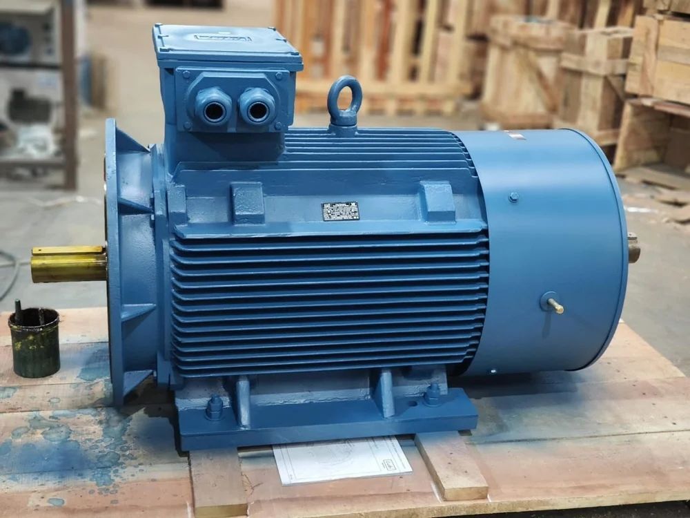 Lubi Induction Motor Manufacturer & Seller in Ahmedabad - PAVITRA ...