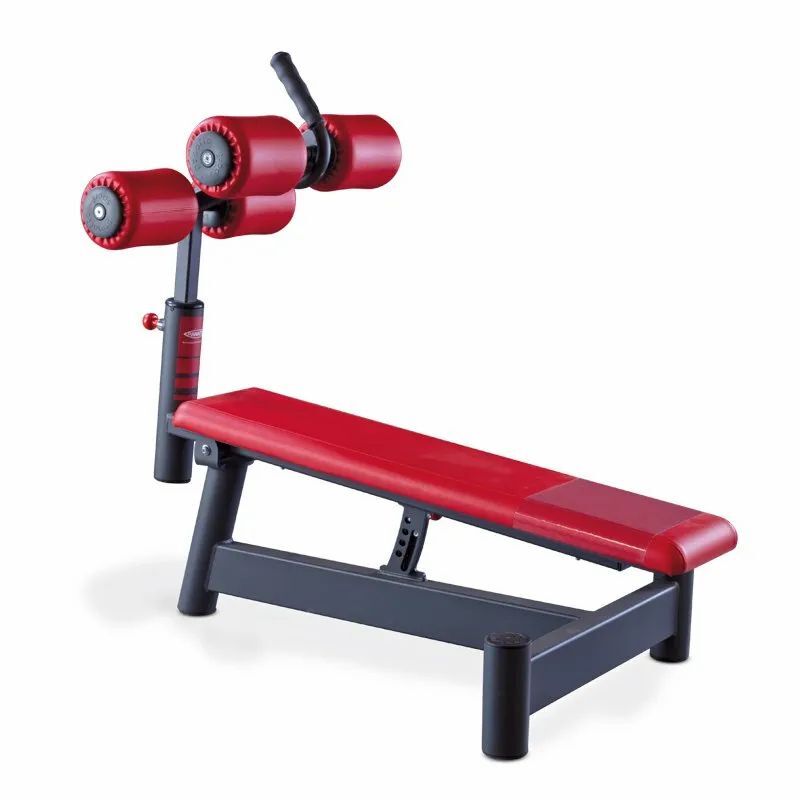 Mild Steel Rigid Abdominal Crunch Bench Price in Pune, Maharashtra ...