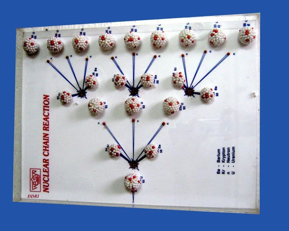 Nuclear Chain Reaction Model Price in Ambala, Haryana – ₹1,190 | D.D.R ...