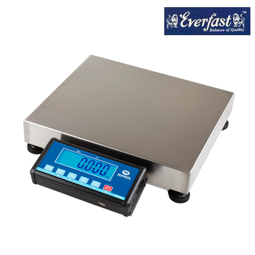 Parcel Scale Price in Delhi, Delhi – ₹4,500 | Raj Engineering Industries