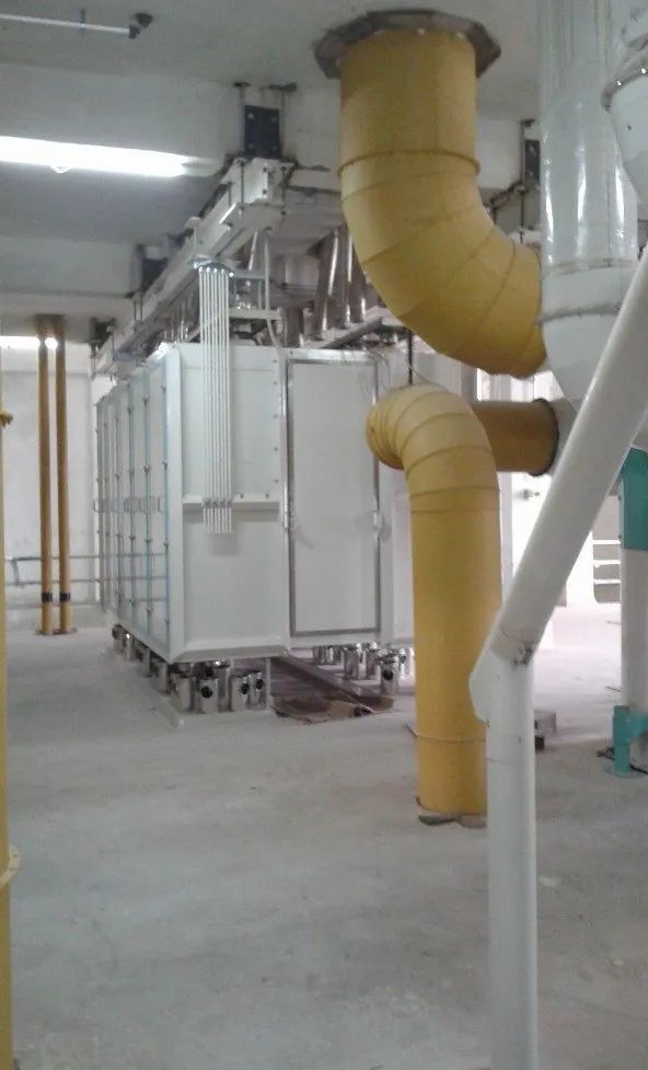 Plant Shifter, Capacity: 2.5 Ton Per Hour at ₹3,50,000 in Jaipur