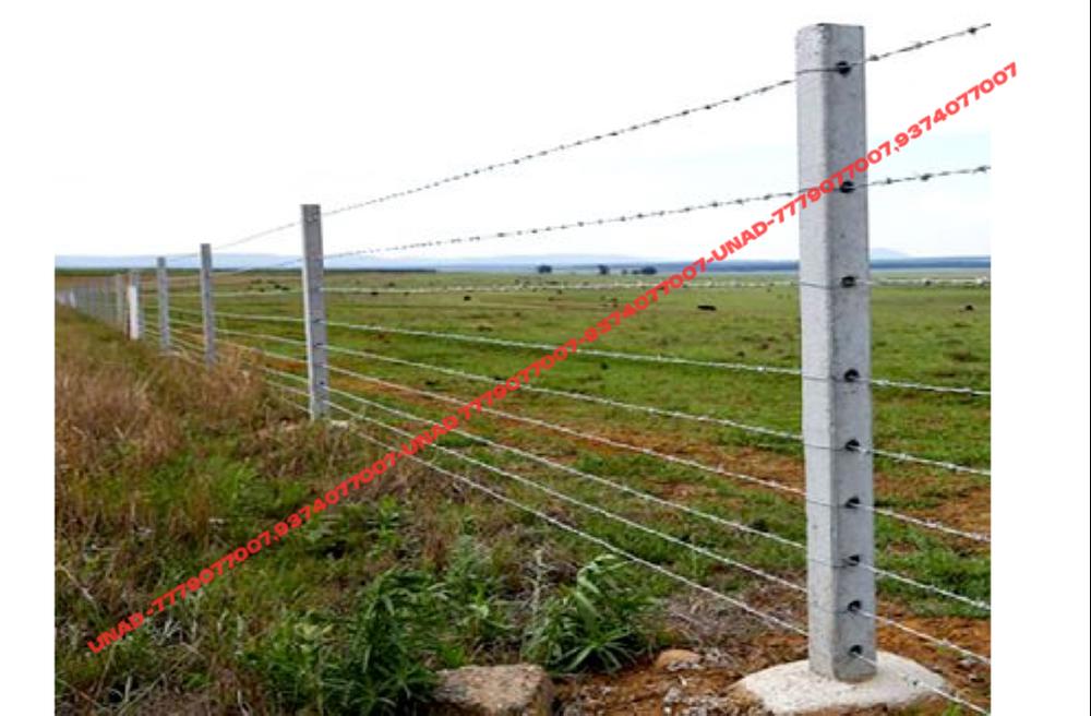 Straight Rectangle Rcc Fencing Poles, For Industrial, 8 Ft Height in ...