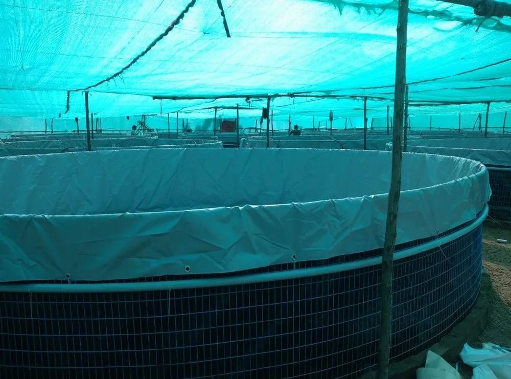 White PVC 5000 Ltr Biofloc Fish Farming Tank, Packaging Type: Poly ...