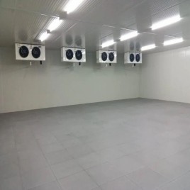 Seed Cold Storage Room Manufacturer & Seller in NEW West DELHI - AZ ...