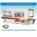 Automatic Auto Case Packer Manufacturer & Seller in Palghar - HAINDS ...
