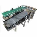 SS Tray Conveyor Manufacturer & Seller in Pune - CONVEYTECH INDUSTRIES